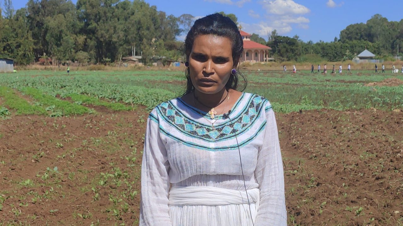 WESTERN GOJAM WOMEN IN ORGANISED AGRICULTURAL WORK - Joram Jojo